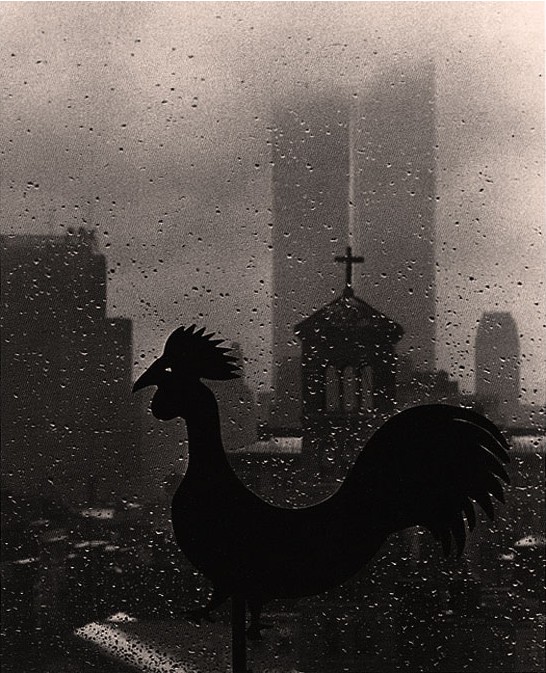 Andre Kertesz Polaroids